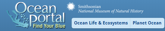 smithsonian national museum of natural history ocean portal find your